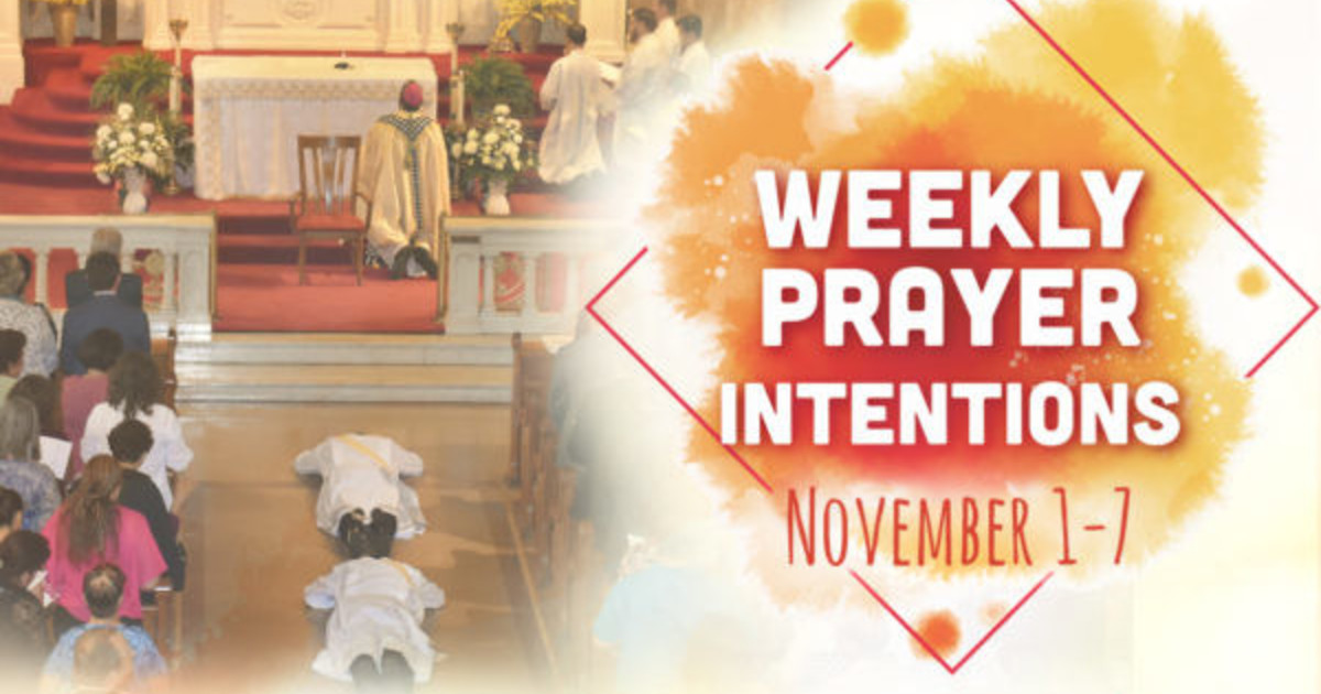 NOVEMBER 1 – 7 | Salesians of Don Bosco