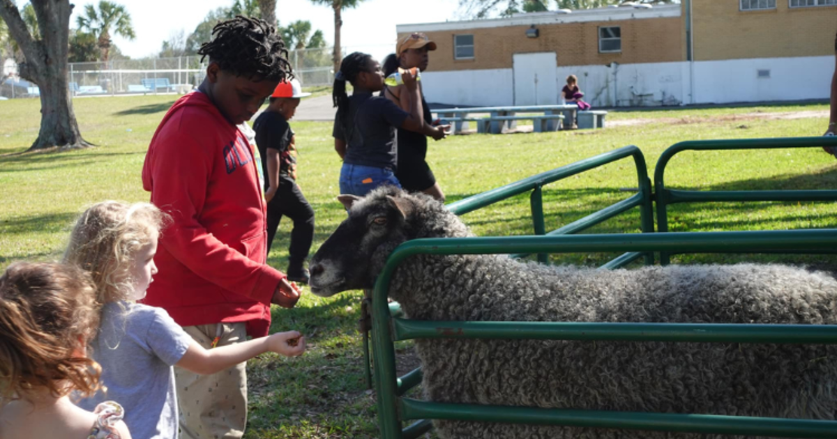 Tampa: Don Bosco Festival | Salesians of Don Bosco