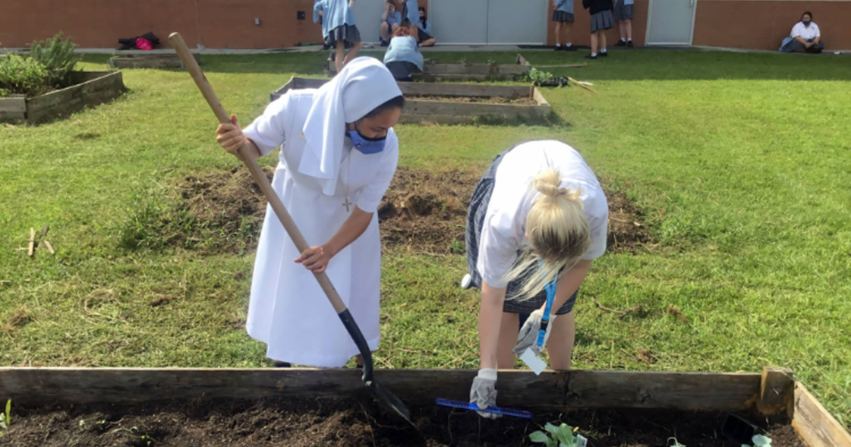 Salesian Sisters Share Pastoral Plan Resources | Salesians of Don Bosco